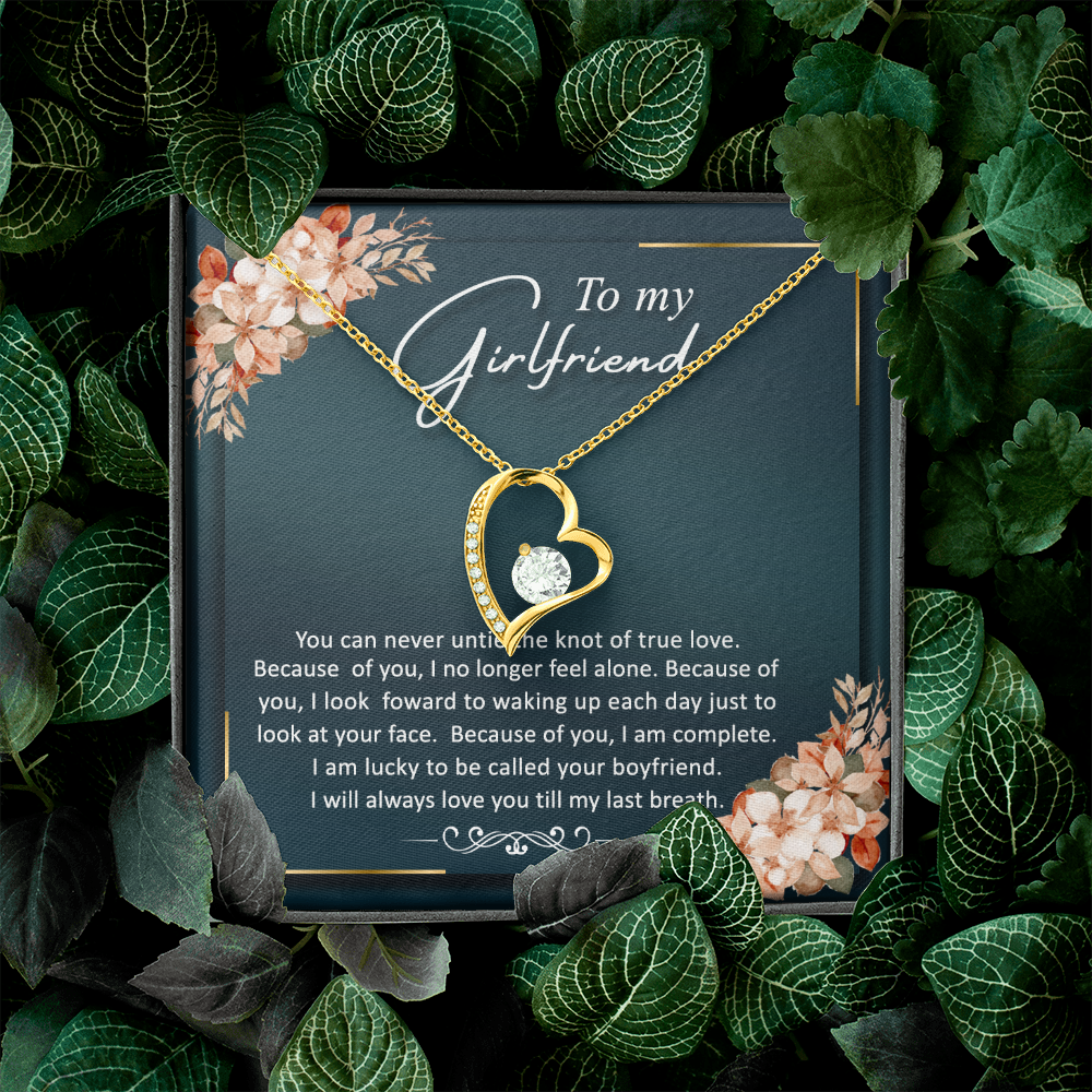 To My Girlfriend | You Can Never Untie | Forever Love Necklace – Heart ...